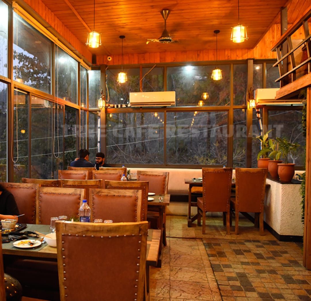 Tree Cafe - Restaurant in Dehradun